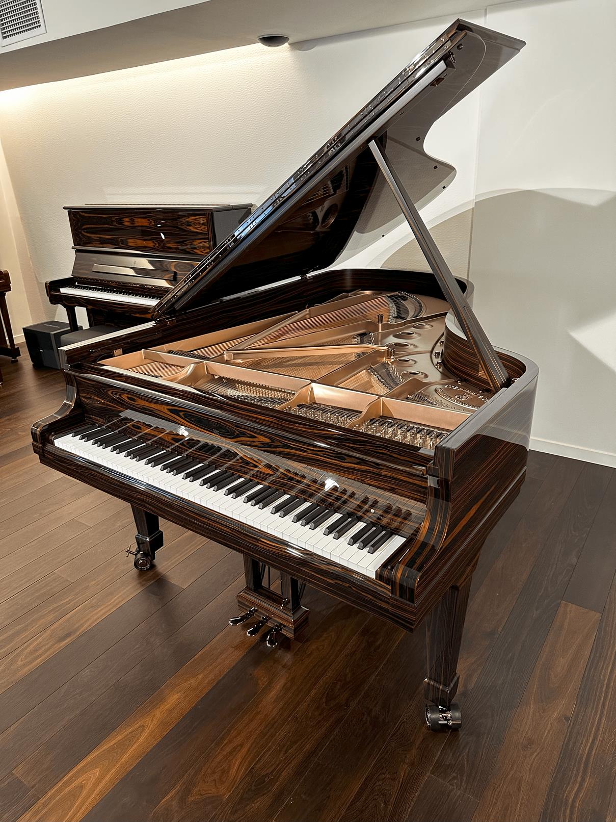 STEINWAY & SONS B-211 "8×8 MASTERPIECE COLLECTION" MACASSAR - Hinves Pianos