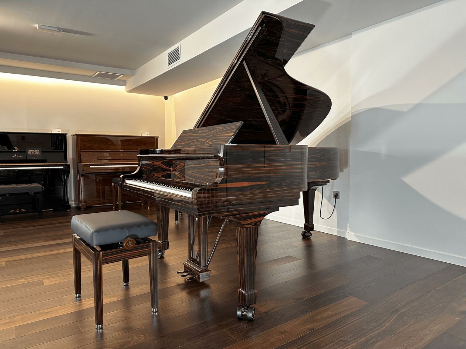 Steinway & Sons B-211 Spirio | r Edición Masterpiece 8x8.| Hinves Pianos