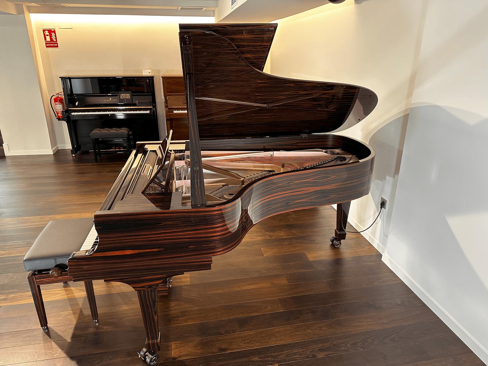 Steinway & Sons B-211 Spirio | r Edición Masterpiece 8x8.| Hinves Pianos
