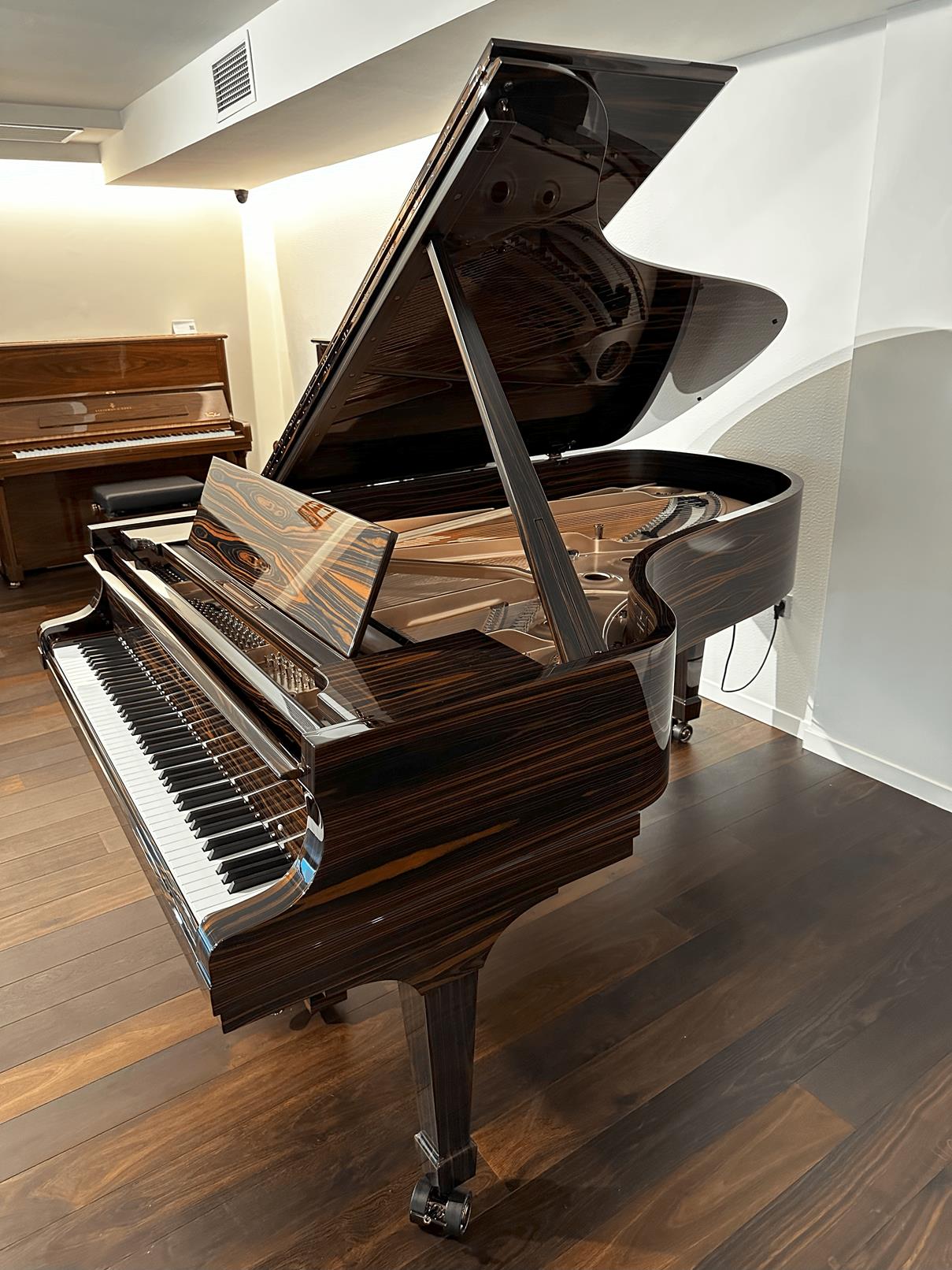 STEINWAY & SONS B-211 "8×8 MASTERPIECE COLLECTION" MACASSAR - Hinves Pianos